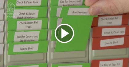 5S Video - Learn About Lean | TXM Lean Solutions