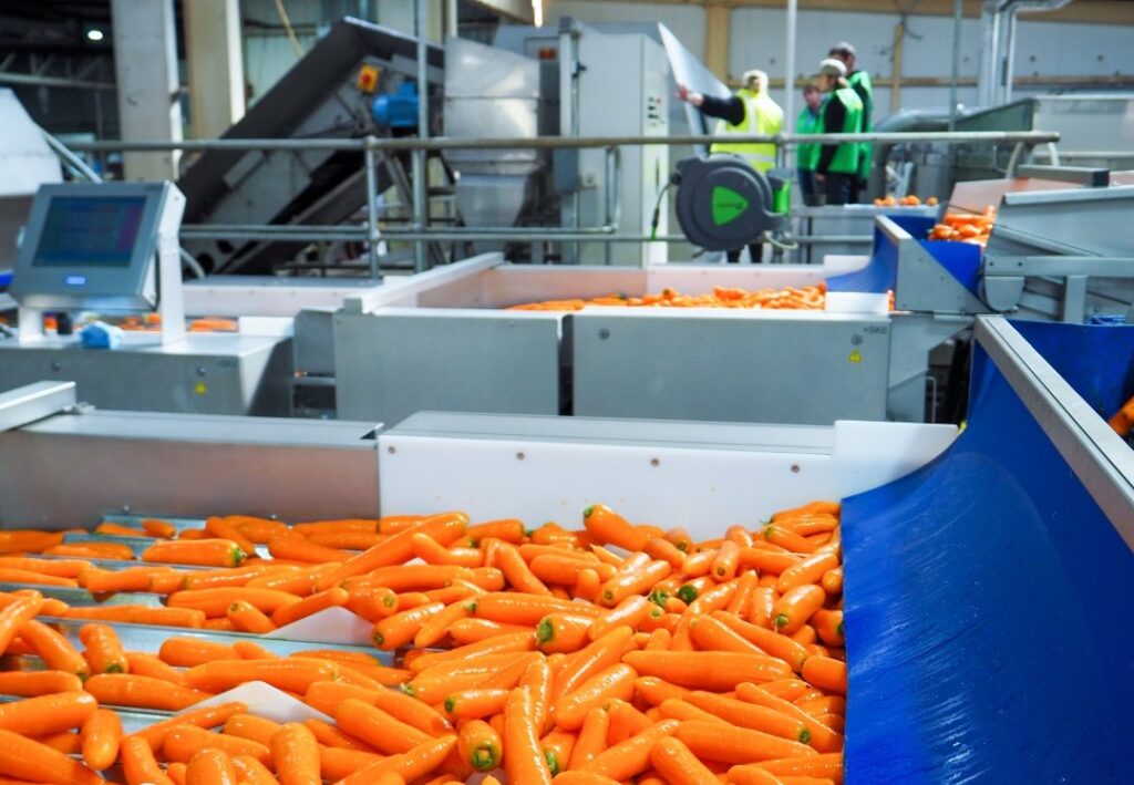 TXM Lean Case Study - Harvest Moon - Lean Agribusiness